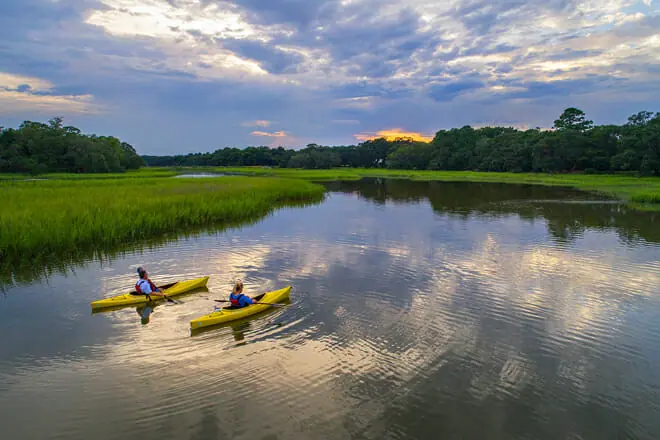 Shem Creek Safari Kayak Tour