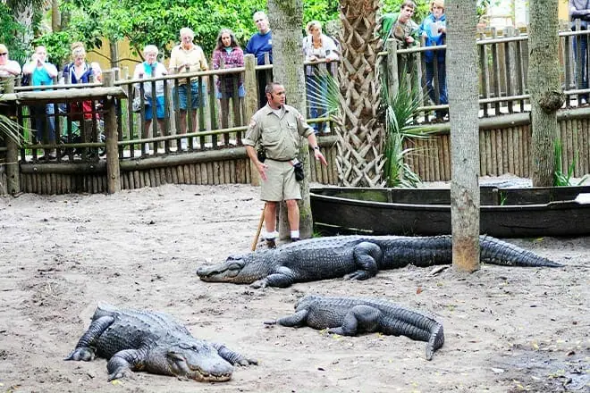 St. Augustine Alligator Farm