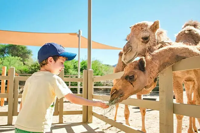 The Living Desert Zoo and Gardens