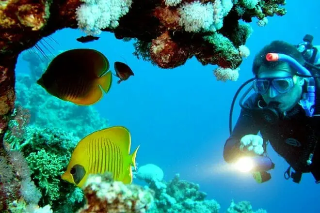 Try Scuba Diving
