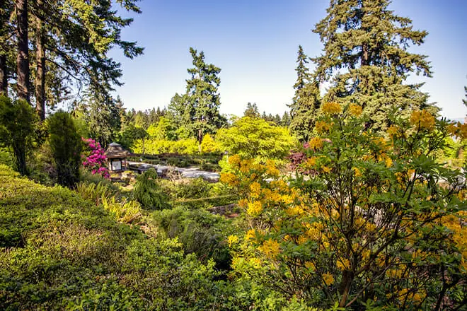 Washington Park