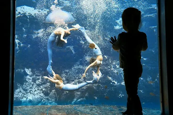 Weeki Wachee Springs State Park