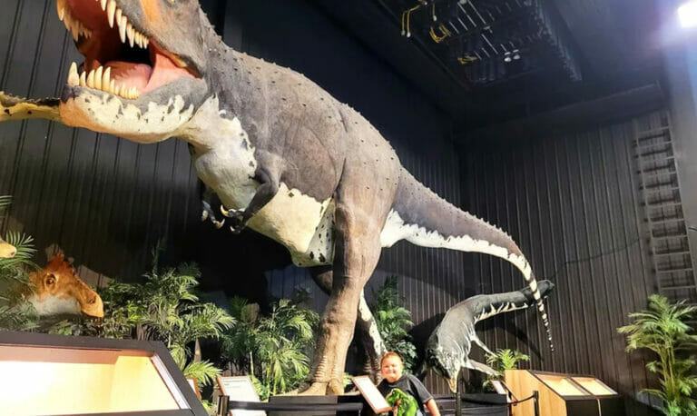 dinosaur museum travel photo