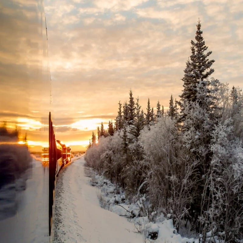 aurora winter train alaska 2