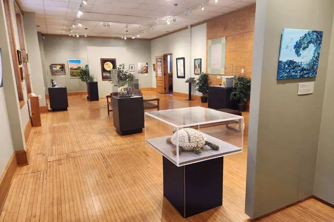 Dacotah Prairie Museum