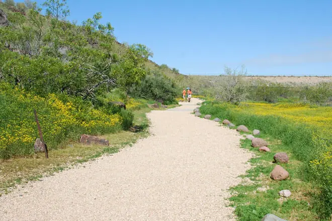 Deer Valley Petroglyph Preserve