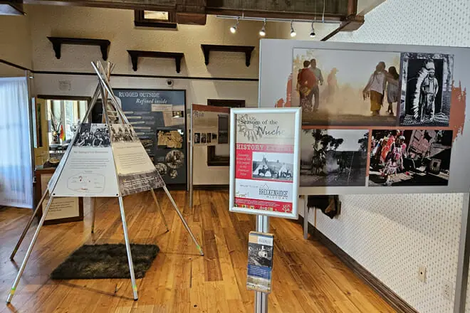 Edwin Carter Museum