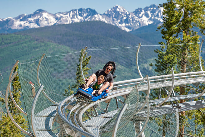 Forest Flyer Mountain Coaster