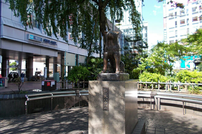 Hachikō Memorial Statue