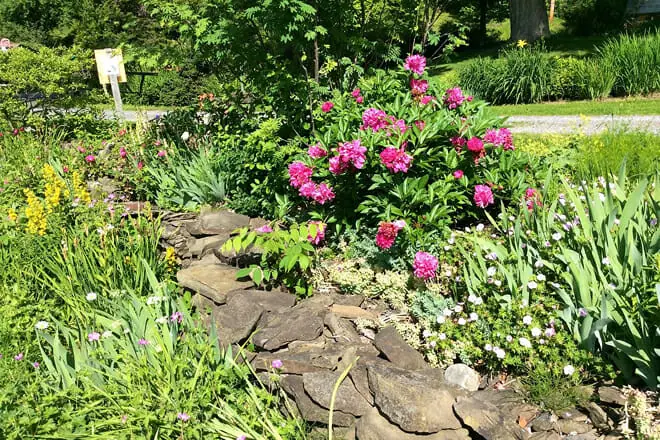Landis Arboretum