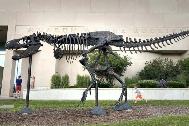 Museum of the Rockies