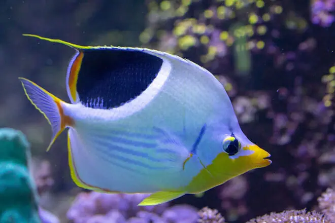 National Aquarium