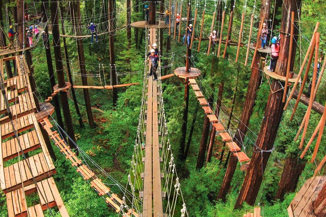 Redwood Canopy Tour at Mt. Hermon