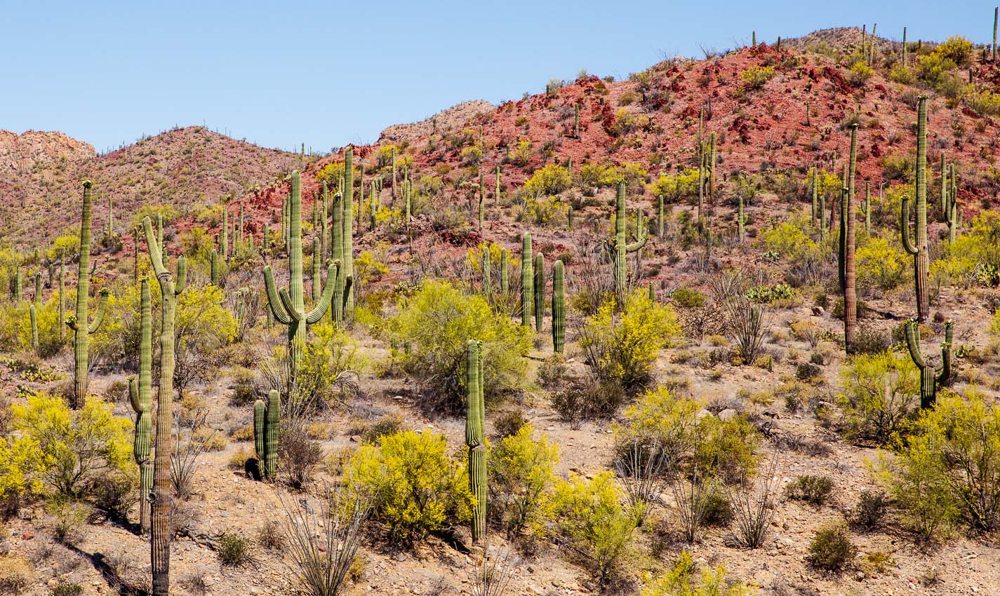 romantic things to do in tucson for couples