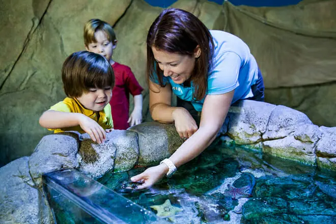SEA LIFE Charlotte-Concord