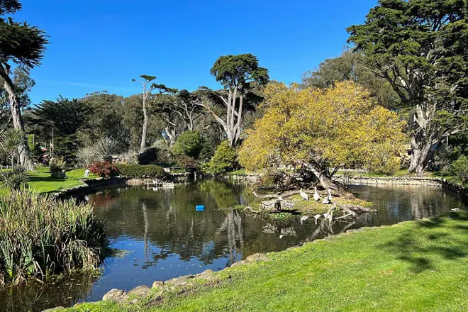 San Francisco Zoo