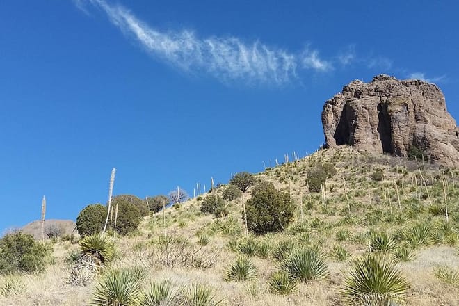 Soledad Canyon Trail