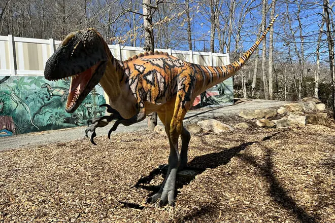 The Dinosaur Place