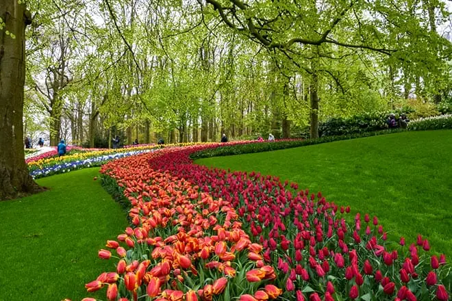 Vondelpark