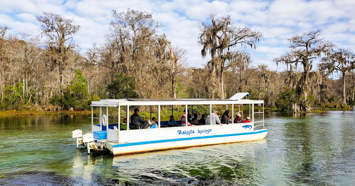 A boat tour in the park