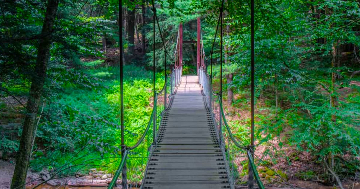 A beautiful view of the park's swinging bridge