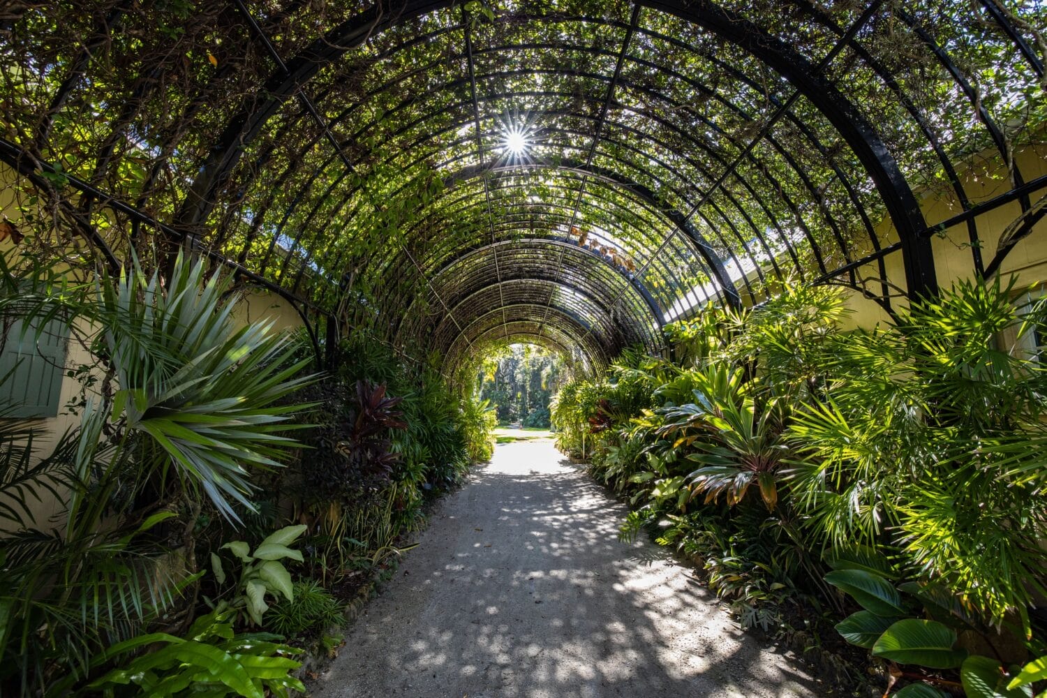 A beautiful walkway in the gardens