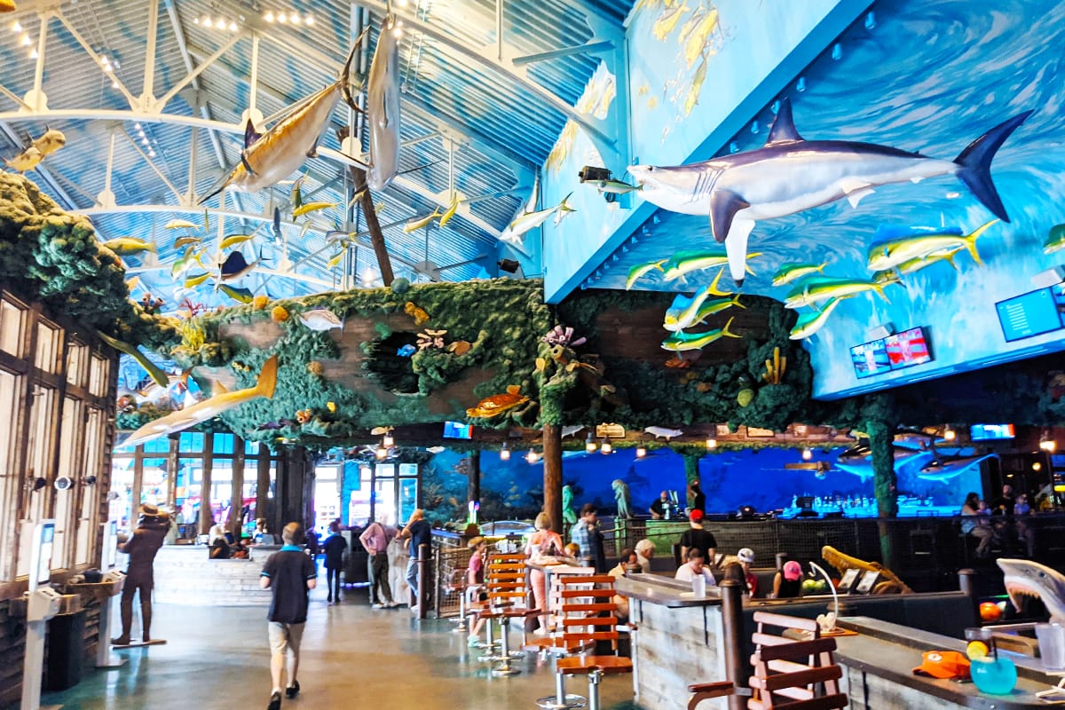 a blend of marine magic and childlike whimsy atmosphere inside the restaurant
