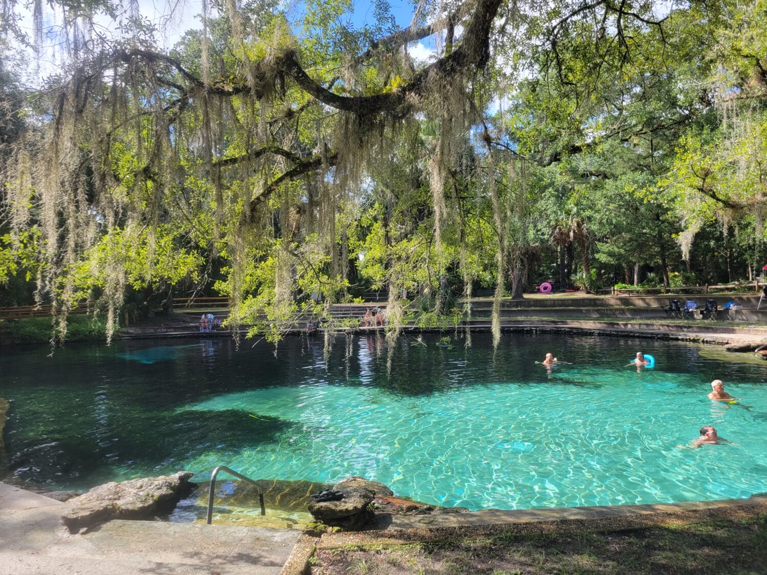 A breathtaking shot of the pool surrounded by century old trees