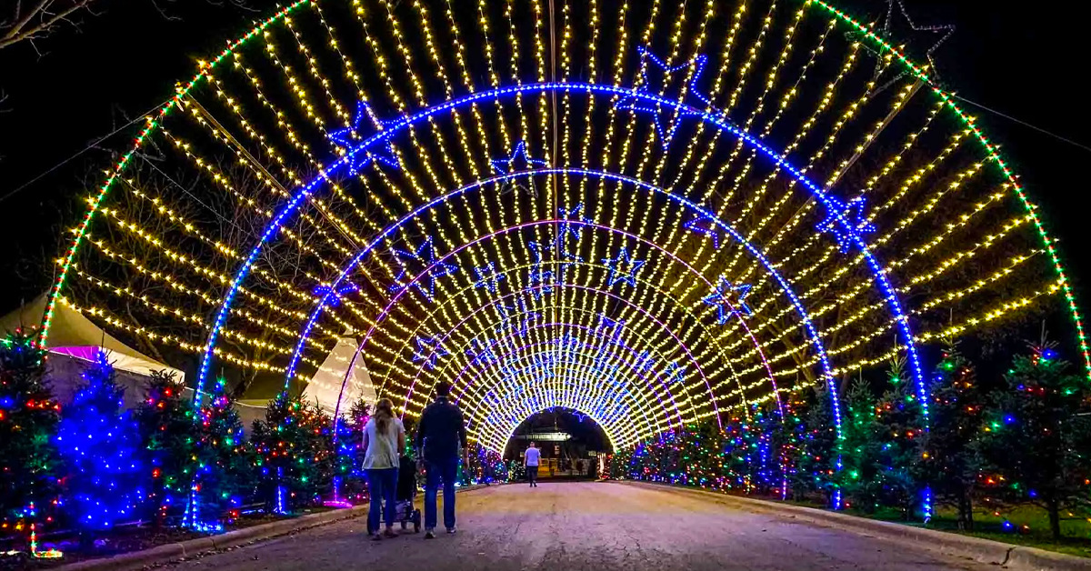 A shot of the dazzling holiday lights in Austin in winter.