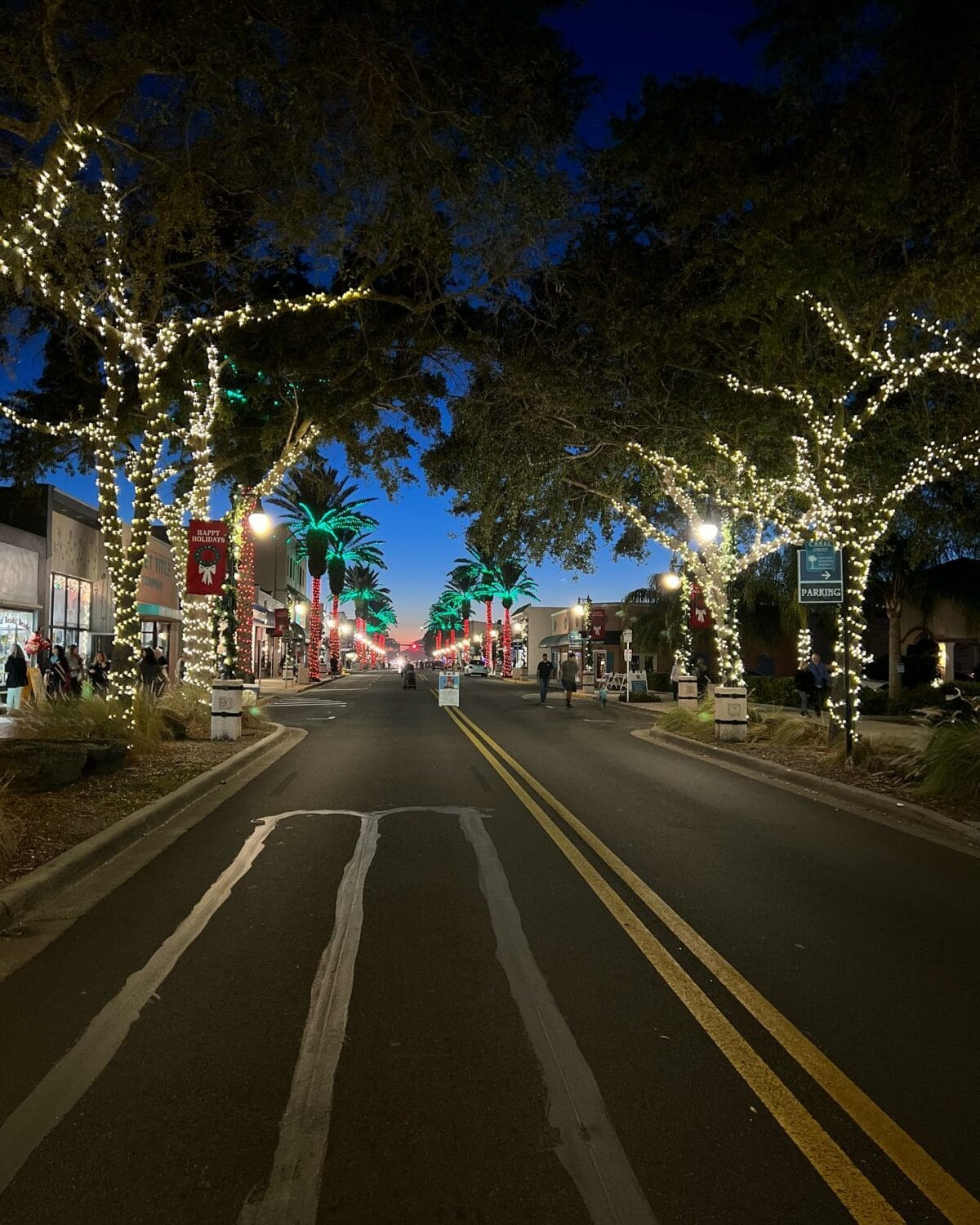 A lovely view of the streets lit with holiday lights.