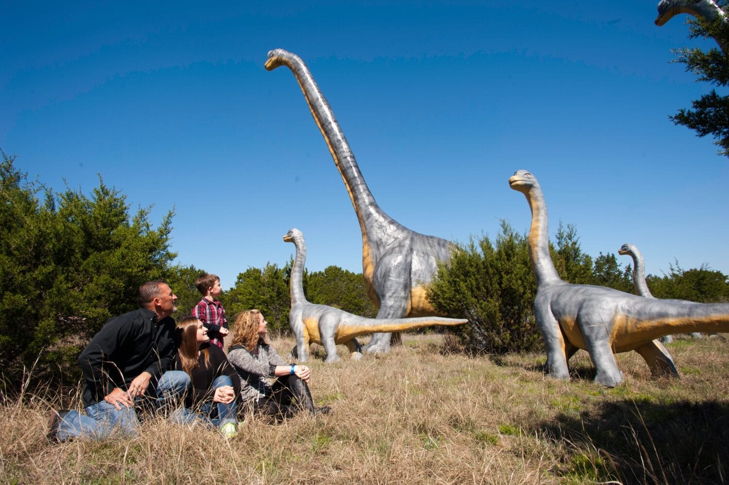 A family enjoying the sight of the stunning dinosaur statues.