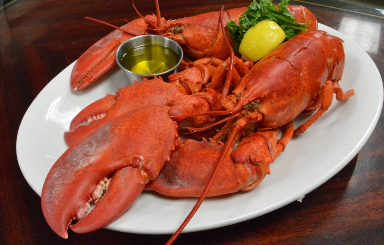 a fresh giant lobster