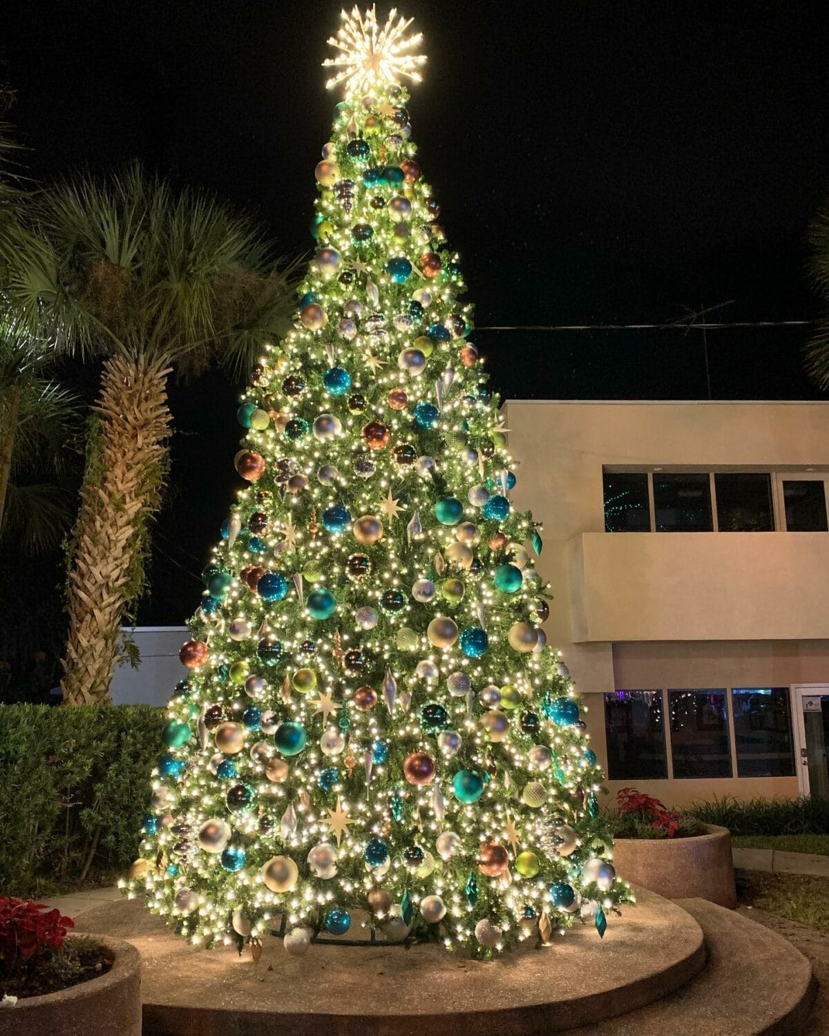 A giant Christmas tree nestled on the historic district.