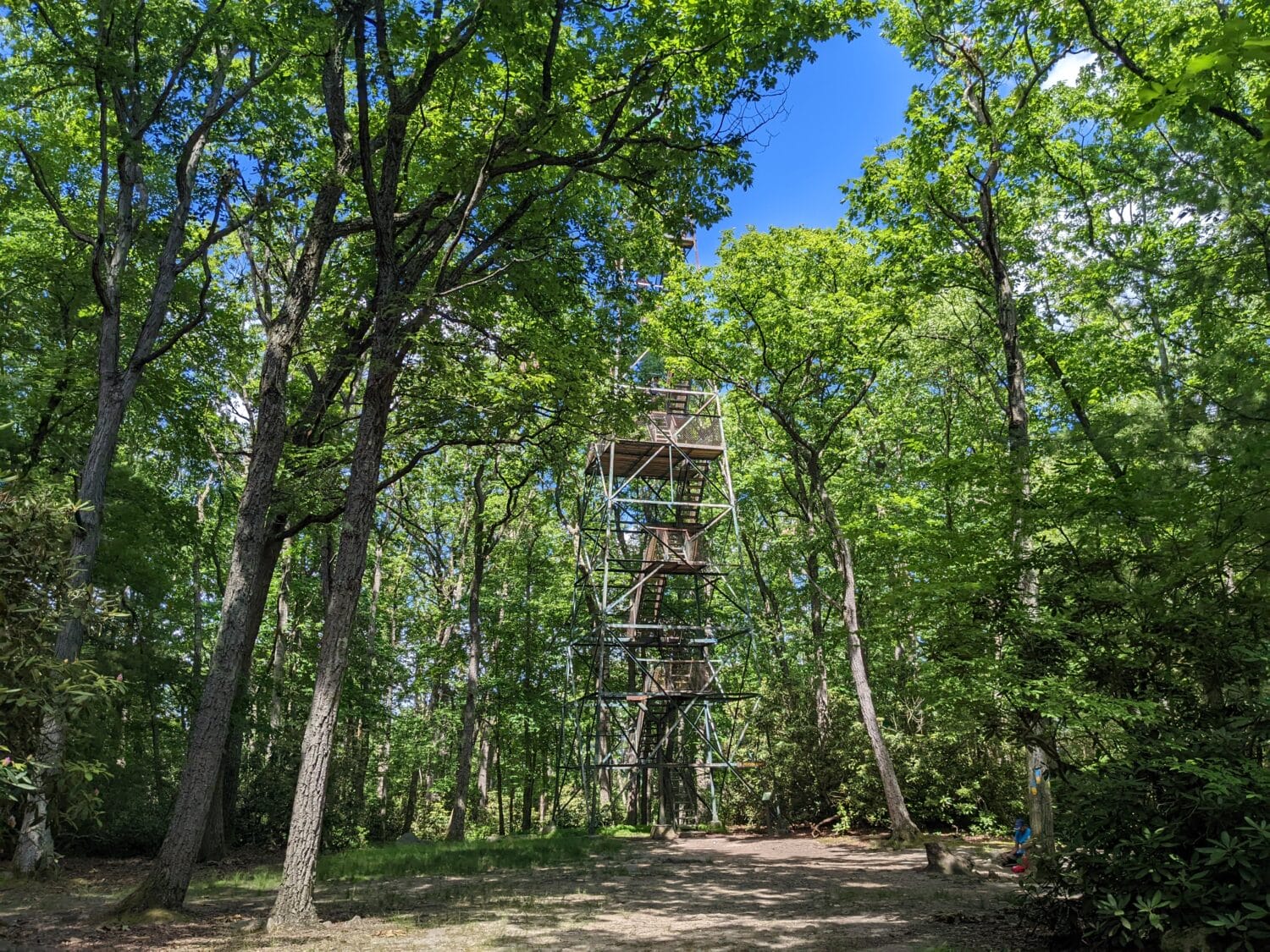 A lookout tower in the park