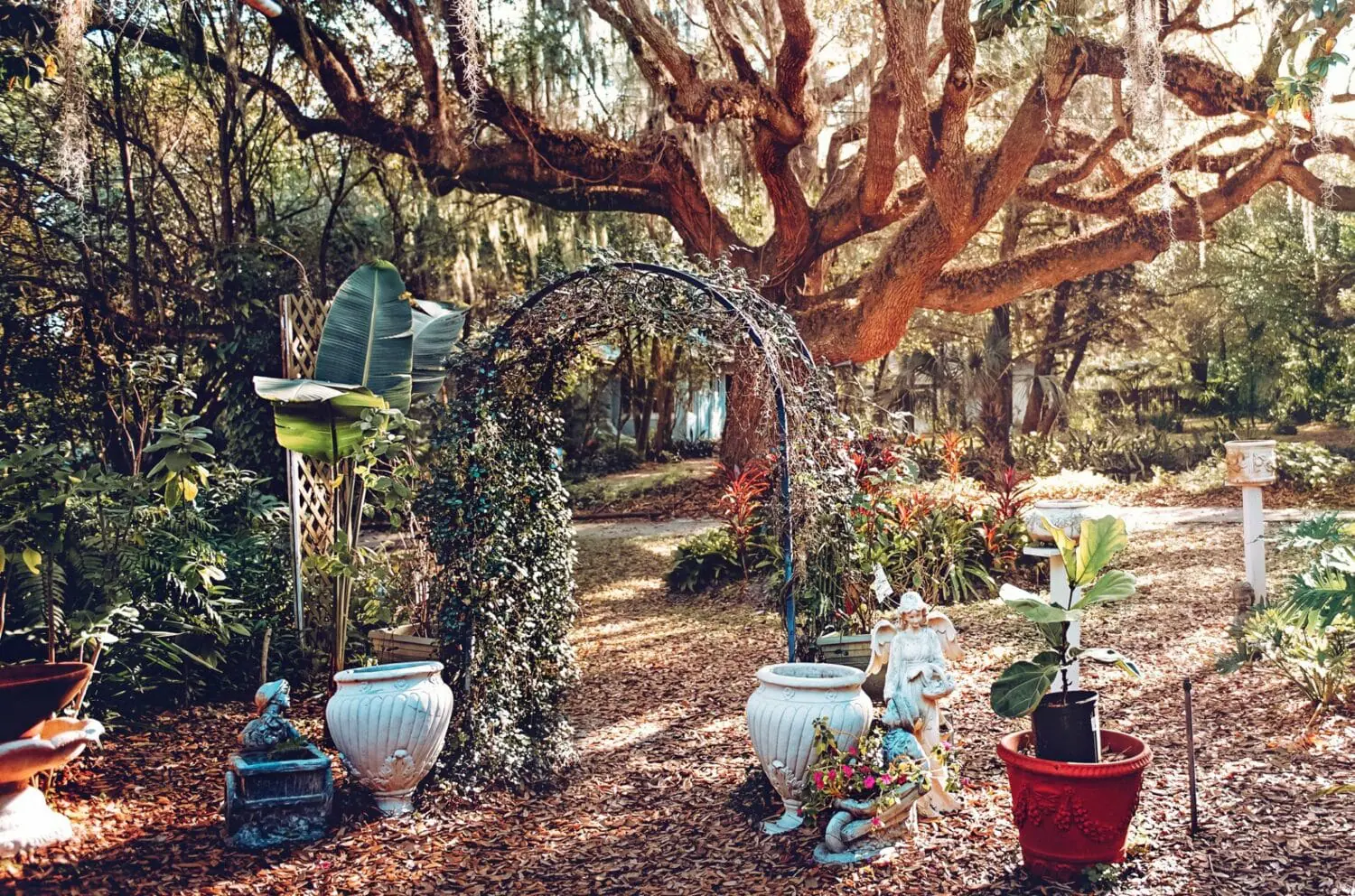 A lush garden outside the tea room