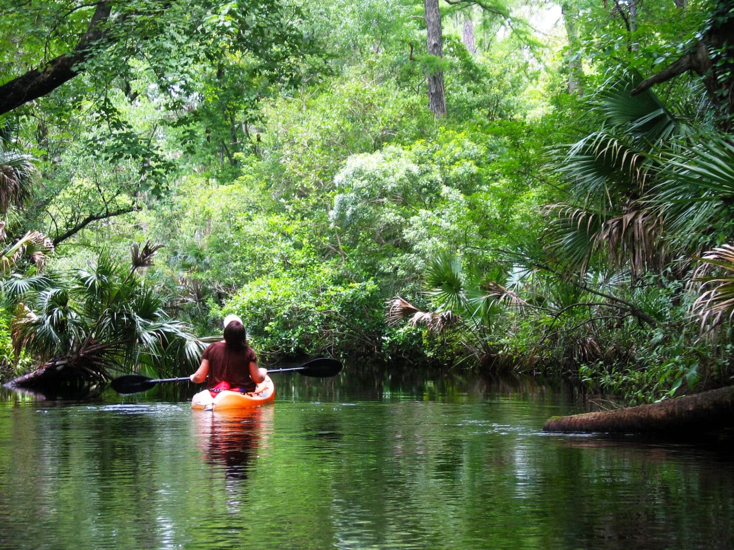 A peaceful kayaking experience in the recreational area