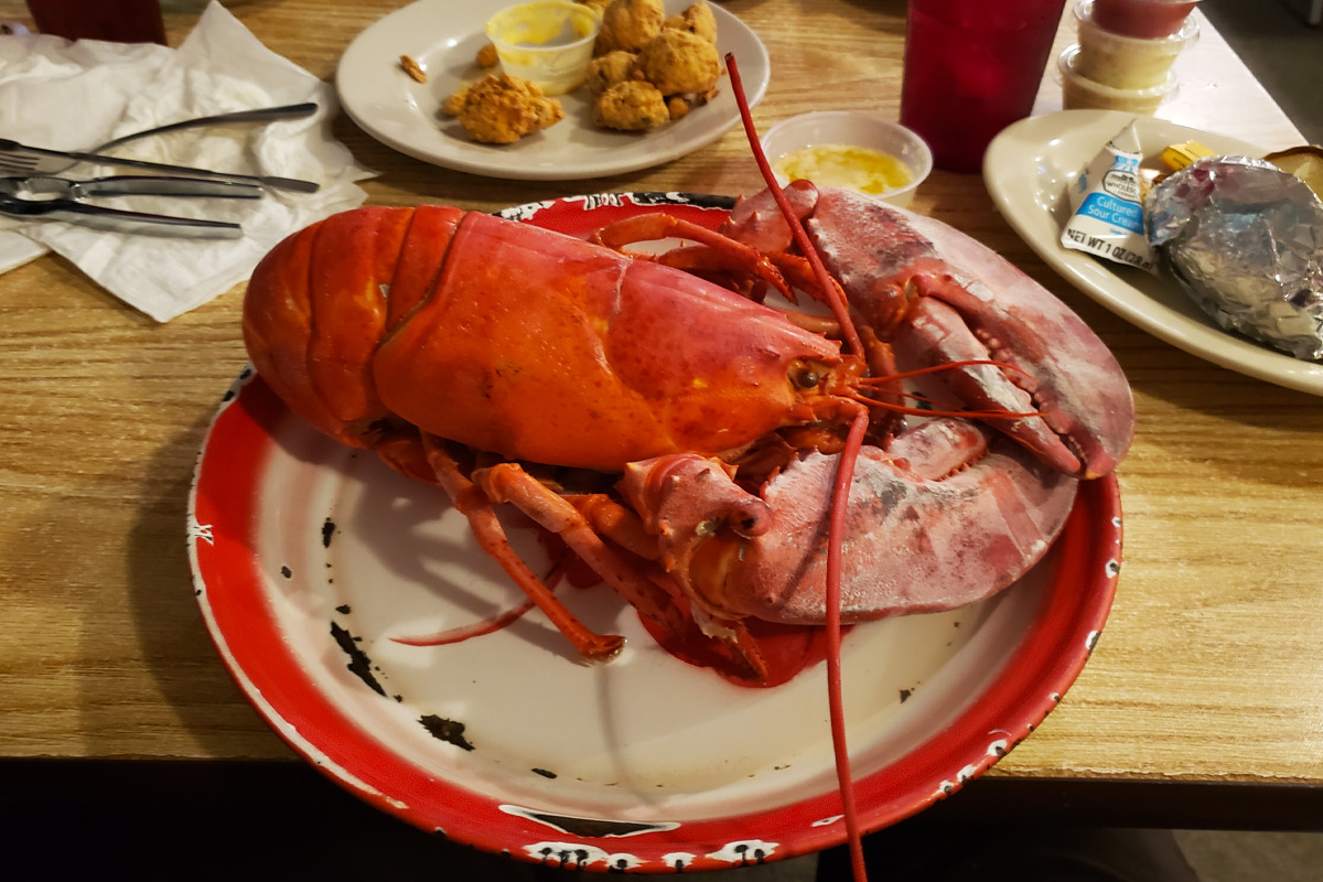 A plate of giant steamed lobster