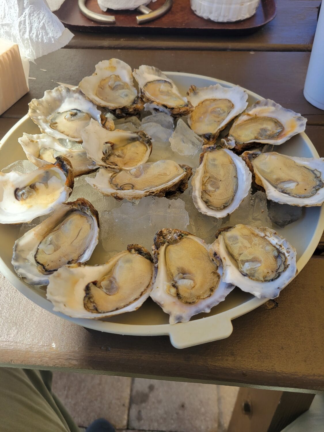 A plate of mouth-watering fresh oysters.