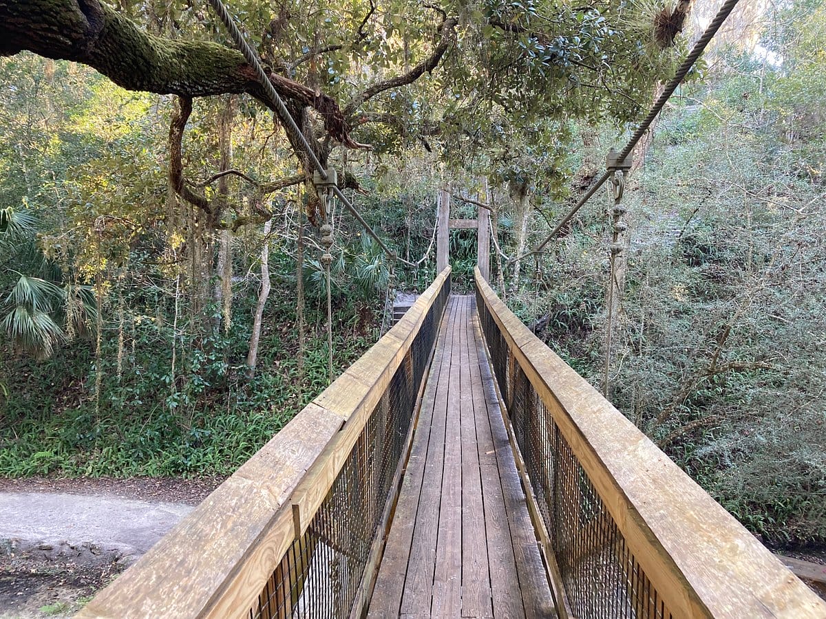 A scenic bridge within Ravine Gardens.