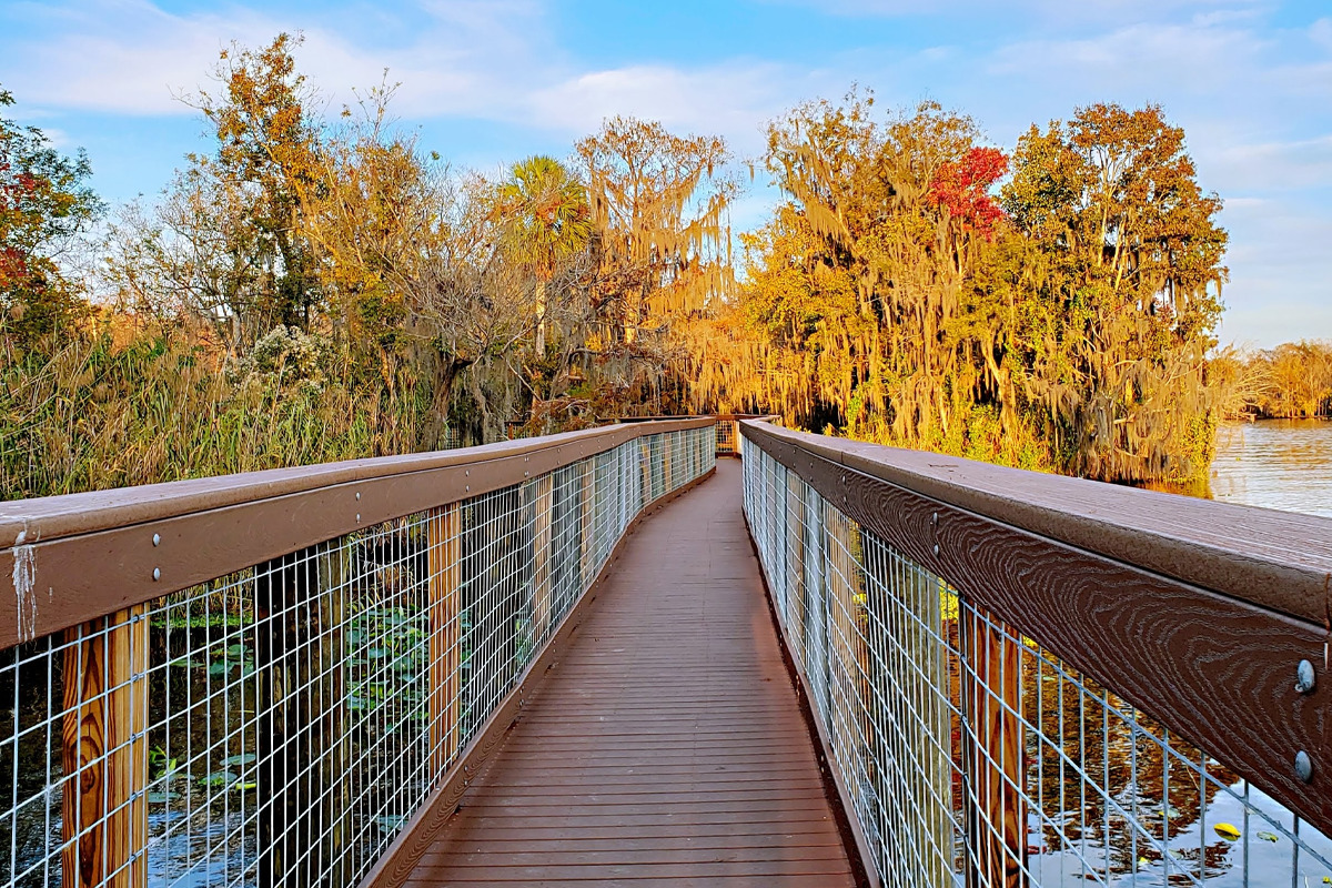 A scenic part of the boardwalk trail.