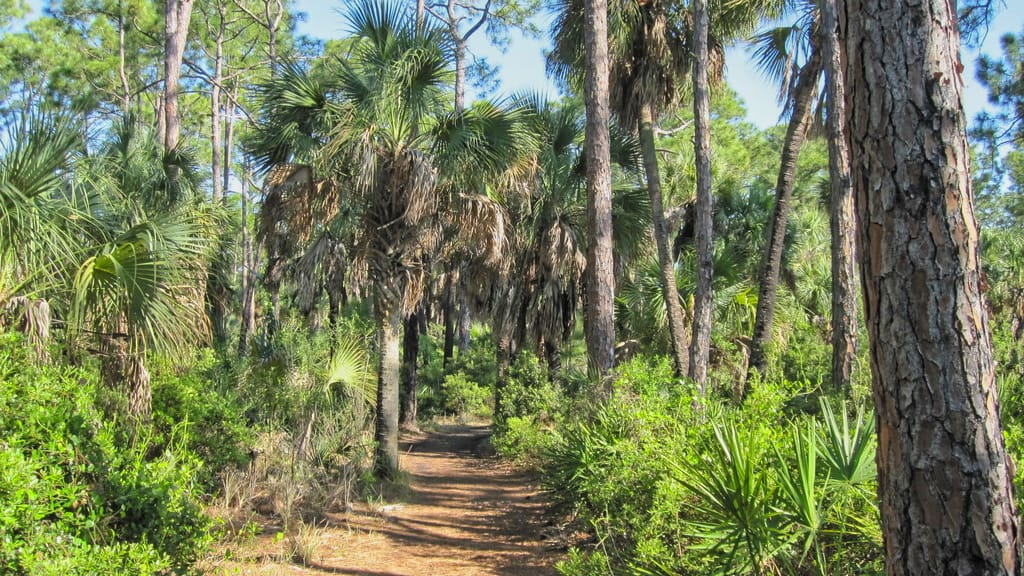 A scenic trail on the island