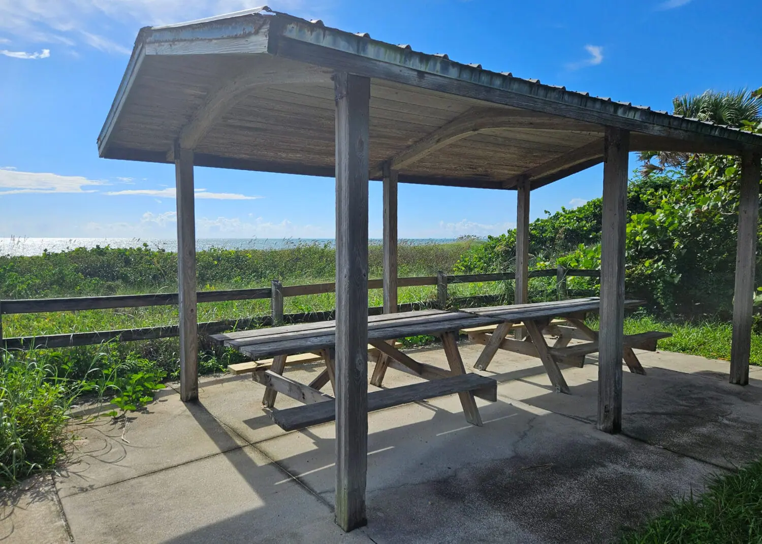 A shaded picnic spot in the park.