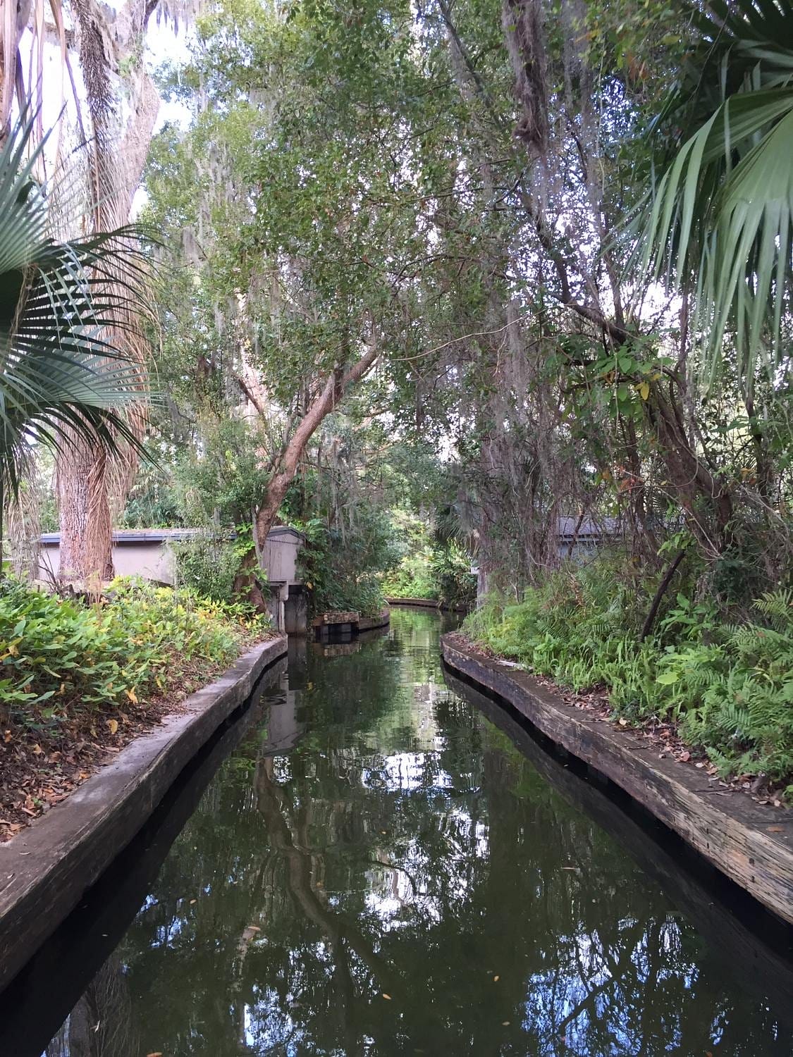 A shot of the beautiful canals in winter park