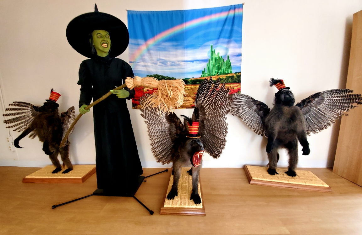 A spooky Wicked Witch display