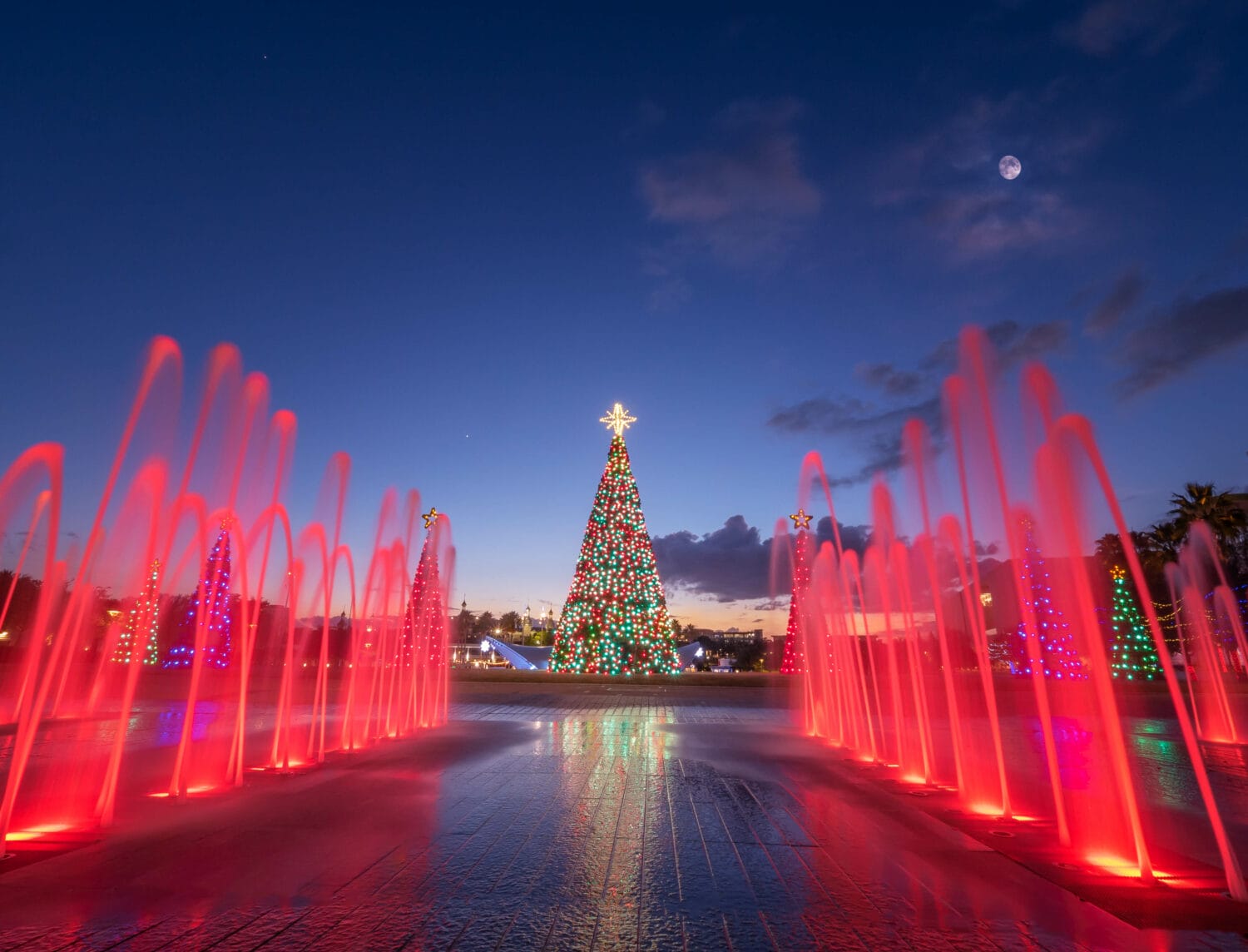A stunning image of a christmas tree at the park with the fountain lights