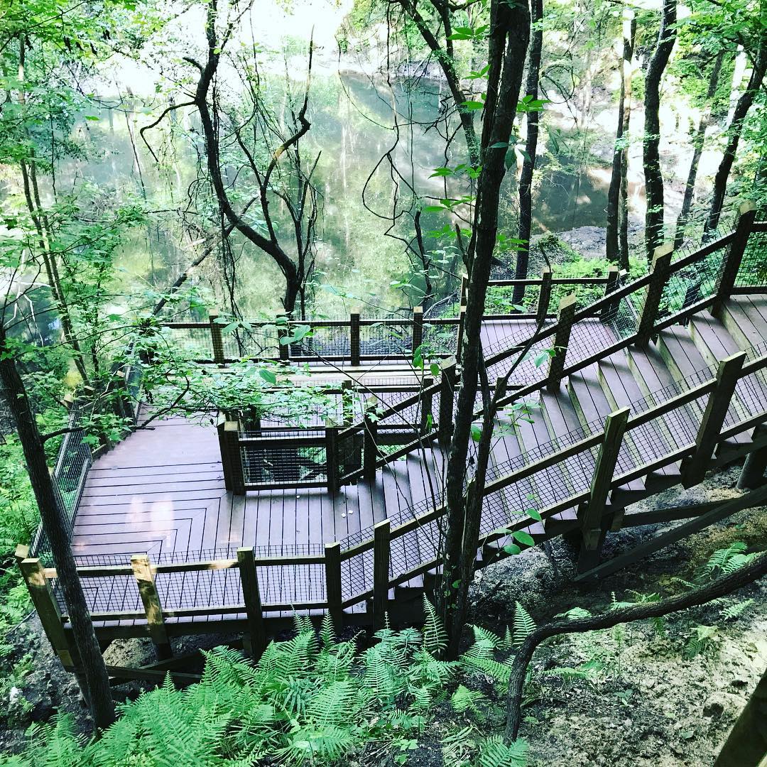 A stunning view of the stairs surrounded by trees