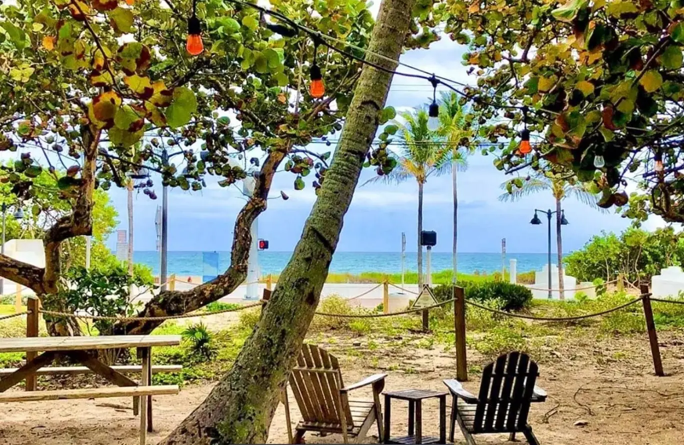 a sweet view of from restaurant