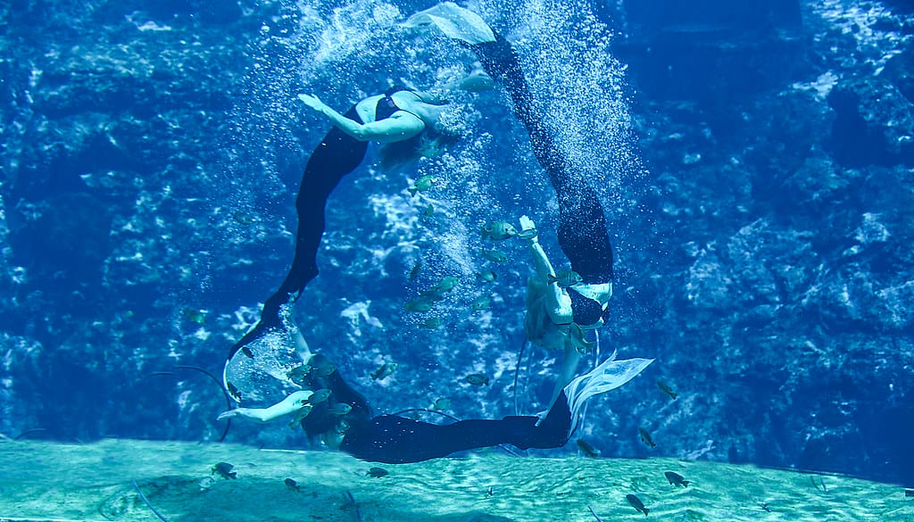 a synchronized song and dance routine of live mermaids