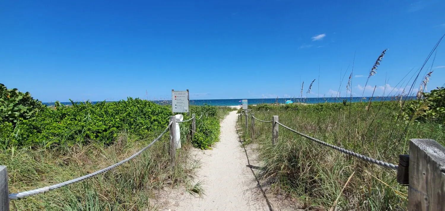 A view of an unspoiled nature.