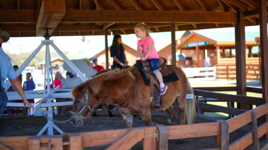 a young girl riding a horse